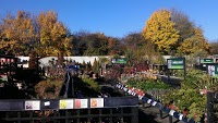 Adrian Hall Garden Centres - Feltham in Feltham, Greater London TW13 7ND