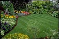 Aileen Rankin Designs Edinburgh in Edinburgh, City Of Edinburgh EH4 2AG