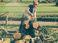 Angry Beaver Tree Surgery in Caterham, Surrey CR3 6SA