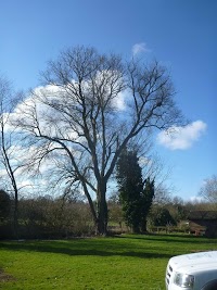 Ashley Trees in Welwyn, Hertfordshire AL6 0BY