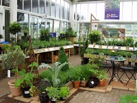 Aylett Nurseries Ltd in St Albans, Hertfordshire AL2 1DH