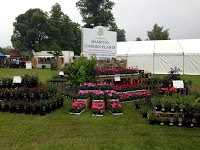 Bampton Garden Plants in Bampton, Oxfordshire OX18 2AA