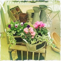 Bampton Garden Plants in Bampton, Oxfordshire OX18 2AA