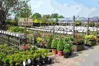 Beechcroft Nurseries & Garden Centre in Belbroughton, Dudley DY9 9XA