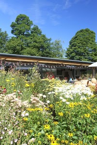 Beetham Nurseries in Nr Milnthorpe, Cumbria LA7 7AP