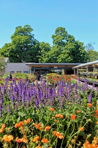 Beetham Nurseries in Nr Milnthorpe, Cumbria LA7 7AP