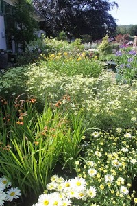 Beetham Nurseries in Nr Milnthorpe, Cumbria LA7 7AP