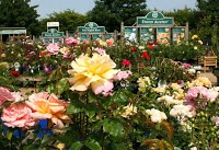 Bell Plantation Garden Centre in Towcester, Northamptonshire NN12 6GX