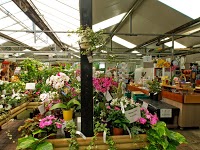 Brackenwood Plant & Garden Centre in Bristol, City Of Bristol BS8 3RA
