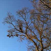 Branching Out in Glenrothes, Fife KY7 4TG