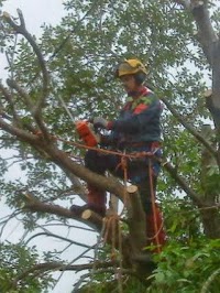 Brett Nicol Tree Surgeons & Landscapers in Potarch, Aberdeenshire AB31 4BL