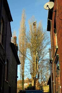 Cedar Point in Barlaston, Staffordshire ST12 9BE