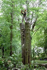 Cedar Point in Barlaston, Staffordshire ST12 9BE