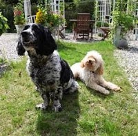 Chaplins Superstore in Plympton, Plymouth PL7 4JW