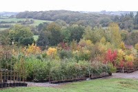 Chew Valley Trees in Chew Magna, Bath And North East Somerset BS40 8HJ