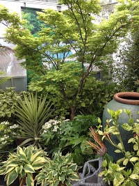 Creative Landscape Co Ltd in Twyford, Wokingham RG10 9PN