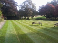 Evergreen Garden Service in Taunton, Somerset TA1 2HQ