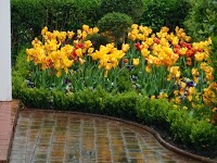 Gardens by Serendipity in Newcastle Upon Tyne NE13 6PE