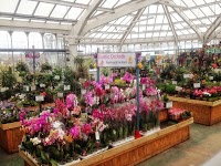 Gordon Rigg Garden Centre (Rochdale) in Rochdale OL16 4UX