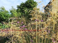 Graham Robson Garden Design in Letchworth Garden City, Hertfordshire ...