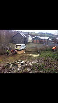 Greaves tree services in Dalton-in-furness, Cumbria LA15 8HR