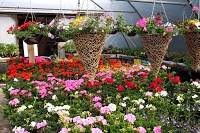 Green Pastures Plant Centre & Farm Shop in Bergh Apton, Norfolk NR15 1BQ