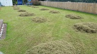Greensleeves Lawn Care in Newtownabbey BT37 0UR