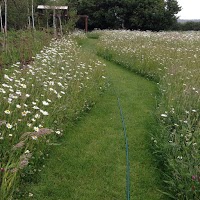 Hall Landscaping & Design in Smallburgh, Norfolk NR12 9AD
