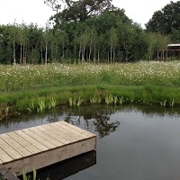 Hall Landscaping & Design in Smallburgh, Norfolk NR12 9AD