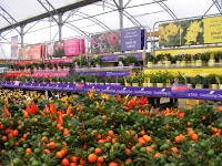 Heighley Gate, a Wyevale Garden Centre in Morpeth, Northumberland NE61 3DA