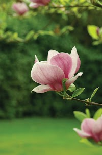 Heighley Gate, a Wyevale Garden Centre in Morpeth, Northumberland NE61 3DA