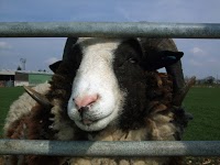 Hollow Trees Farm in Semer, Suffolk IP7 6HX