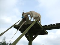 Hollow Trees Farm in Semer, Suffolk IP7 6HX