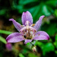 Insideout Garden Design in West Wycombe, Buckinghamshire HP14 3AR