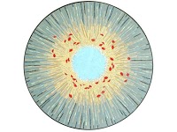 Joy Holden Mosaics by Design in Roydon, Suffolk IP22 5QU