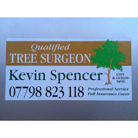 K Spencer Tree Surgery NPTC in Ongar, Essex CM5 9BZ