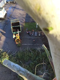 K Spencer Tree Surgery NPTC in Ongar, Essex CM5 9BZ