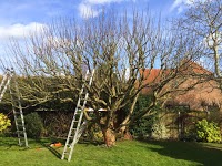 K Spencer Tree Surgery NPTC in Ongar, Essex CM5 9BZ