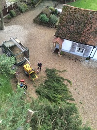 K Spencer Tree Surgery NPTC in Ongar, Essex CM5 9BZ