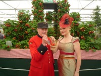 Ken Muir Ltd in Clacton-on-sea, Essex CO16 9BJ