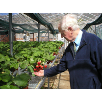 Ken Muir Ltd in Clacton-on-sea, Essex CO16 9BJ