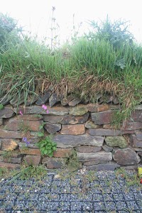 Lantoom Quarry in Dobwalls, Cornwall PL14 4LR