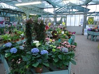 Lichfield Garden Centre in Curborough, Staffordshire WS13 8ES