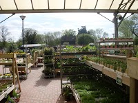 Longacres Garden Centre in Shepperton, Surrey TW17 0RQ
