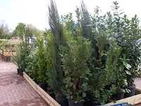 Longacres Garden Centre in Shepperton, Surrey TW17 0RQ