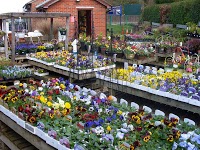 Longacres Garden Shop in Chobham, Surrey GU24 8AS