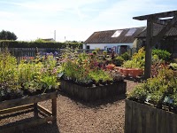 Macplants in Pencaitland, East Lothian EH34 5BA