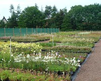 Macplants in Pencaitland, East Lothian EH34 5BA