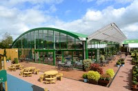 Monkton Elm in West Monkton, Somerset TA2 8QN