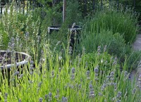 Motif Garden Design in Edinburgh, City Of Edinburgh EH4 1ES